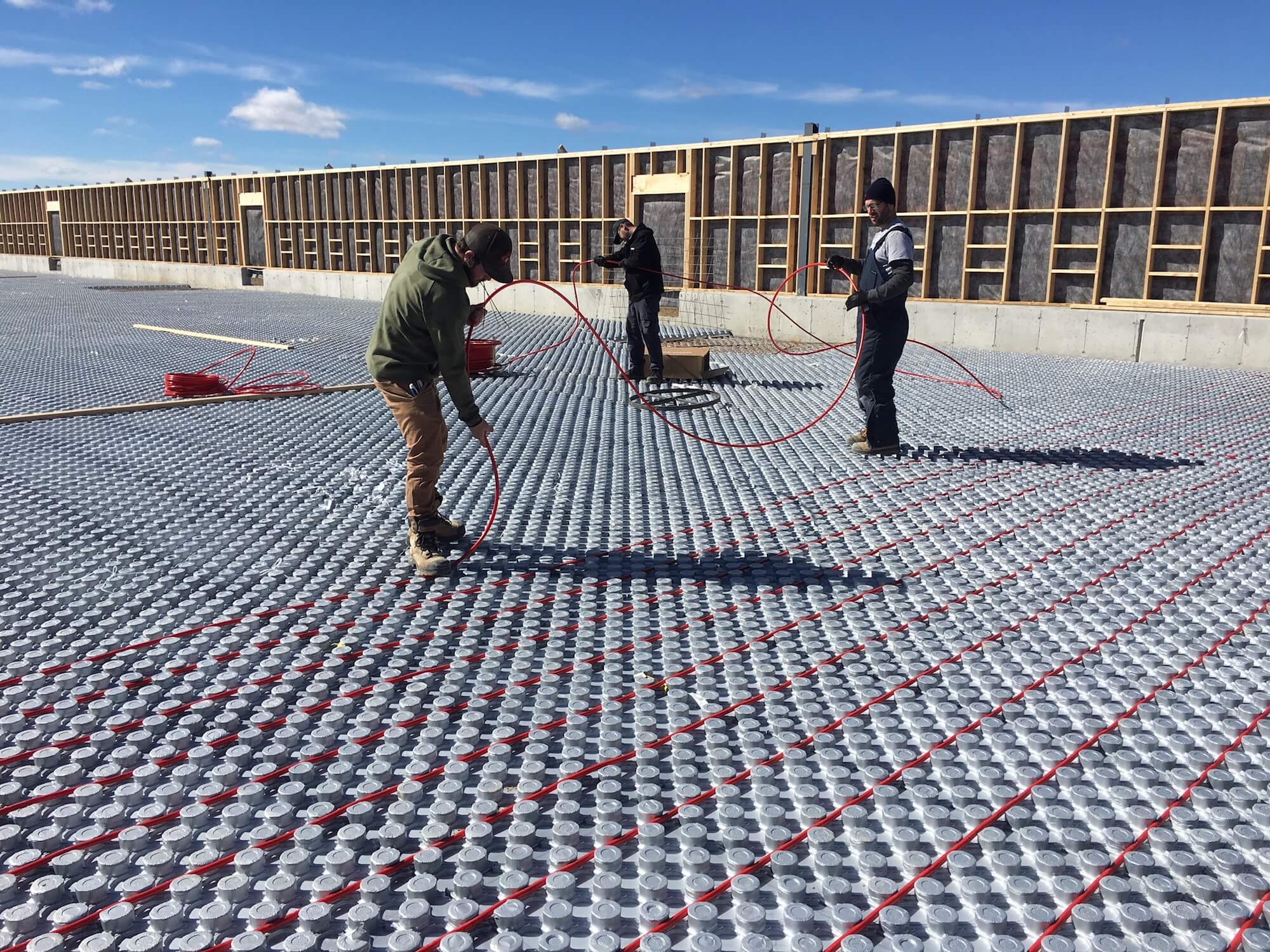 Case Study: Optimizing Poultry Farming with Hubert Poultry Barn ...